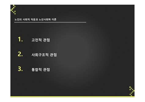 노인문제에 대한 이론적 관점 사회과학