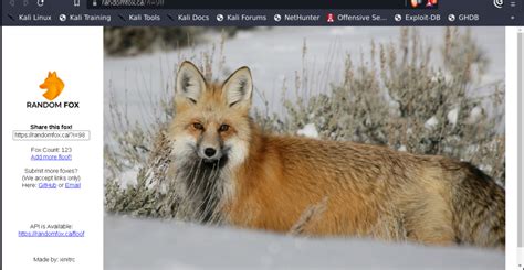How To Call Rest Api In Python Complete Guide 2022