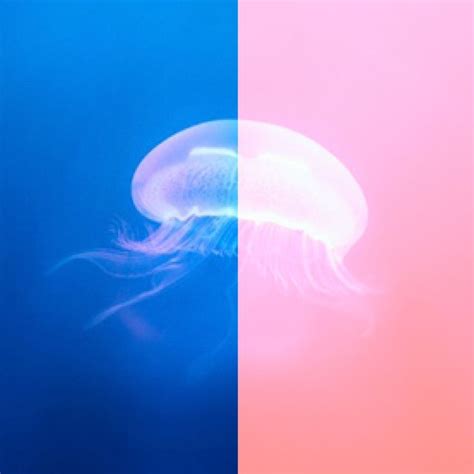 Blending Modes In Css Color Theory And Practical Application Envato