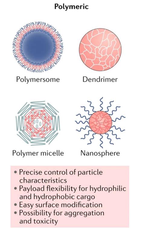 Polymer Based Nanoparticle Delivery System Platforms Nucleic Acid