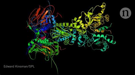 ai protein folding algorithms solve structures faster than ever deep