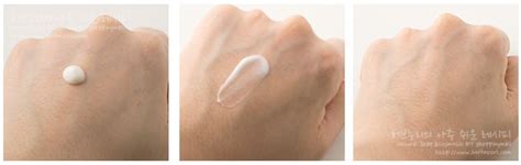 녹차에센스로션 레시피