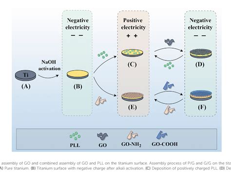 Figure 1 From Graphene Oxide ε Poly L Lysine Self Assembled Functionalized Coatings Improve The