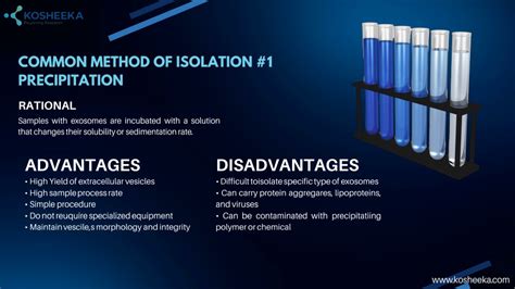 Ppt Exosome Isolation From Cell Culture Media Powerpoint Presentation Id 13394690