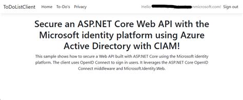 How To Secure An Aspnet Core Web Api With The Microsoft Identity
