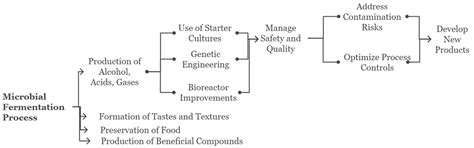 Microbial Fermentation In Food And Beverage Industries Innovations Challenges And Opportunities