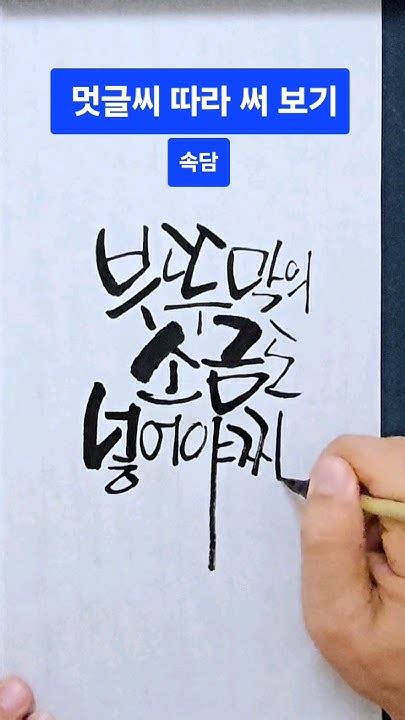 속담을 멋글씨로 따라 쓰기 캘리그라피 따라 쓰기 캘리그라피 멋글씨 예쁜글씨 캘리그라피글씨체 붓캘리그라피 손글씨 감성글씨 Calligraphy Youtube