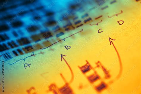 DNA Sequence Science Concept Stock Photo Adobe Stock