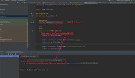 Springboot单元测试中自动注入报空指针 方堃的blog