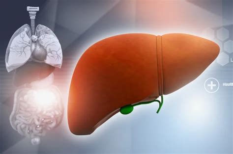 Best Hospital For Hepatectomy Surgery In India Medisuggest