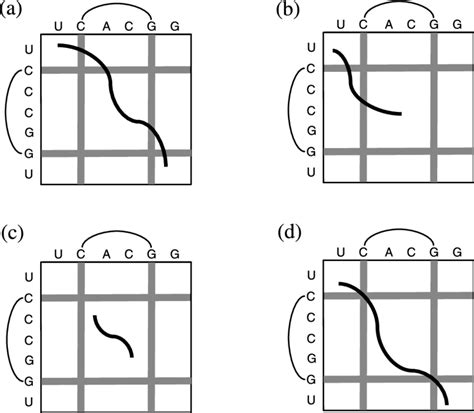 four different situations that occur when aligning rna sequences