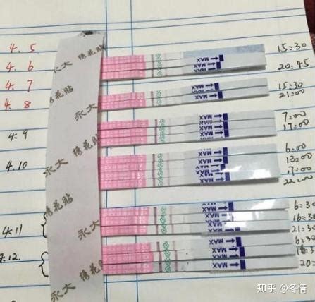 种计算排卵期的方法总有一种适合你 知乎