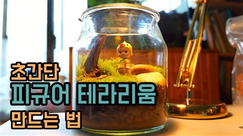 소니엔젤 피규어 테라리움 만드는 법 김윤구 작가 방구석 식물쑈 편집본 구의정원 식물 식물집사 식물초보 식물탐구 식물튜브 테라리움 Youtube