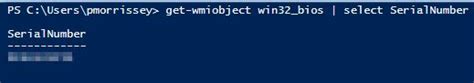 Peter Morrisseys Technology And Scripting Blog Get Computer Serial