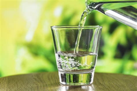 Beber Agua En Verano