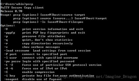 linux与window文件传输（使用ssh putty） putty ssh 复制文件命令 csdn博客