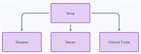 The Role Of Knowledge Graphs In Enhancing Ai Accuracy Wisecube Ai