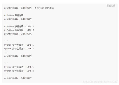 详细介绍一下python 注释python的注释 Csdn博客