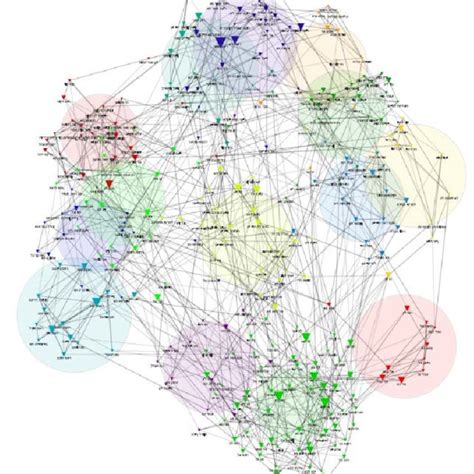Terms Network And Clusters Download Scientific Diagram