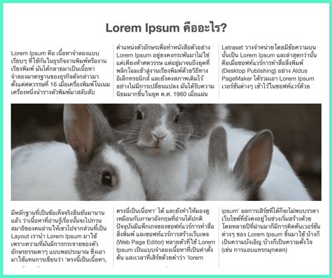 การใช้ Css Multi Columns เพื่อแสดงผลหลายคอลัมน์แบบ Responsive