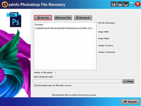 What Is PSD File Format How To Open It