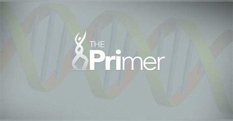 Interpretation Of Qpcr Curve Shapes Mlo Online