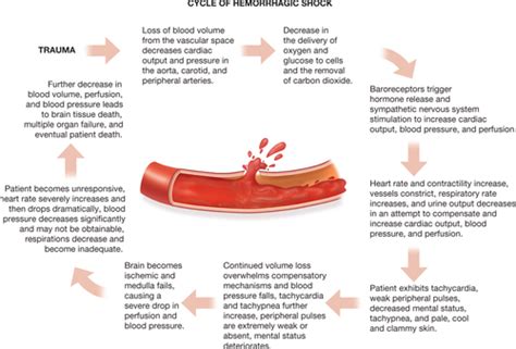 Advanced Emt Chapter 17 Flashcards Quizlet