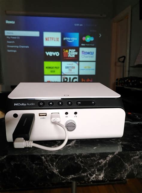 Review of the Vankyo Leisure 495W Projector With a Green Mind - TurboFuture