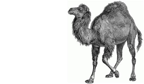 Cron And A Perl Script Warning This Is A Shameless Example Of By Heretechal Medium