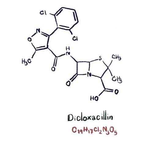 Dicloxacillin Over 11 Royalty Free Licensable Stock Illustrations