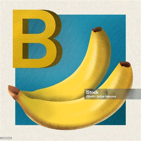 손으로 그리기 텍스처 는 바나나와 과일 알파벳 B 문자의 귀여운 그림 인쇄 직물 카드 포스터 학교 유치원 어린이 교육 어린이 책 브로셔에 사용 바나나에 대한 스톡 벡터 아트