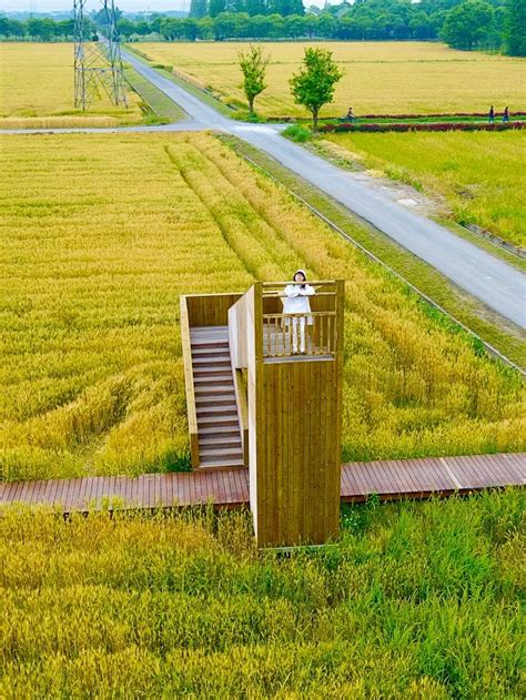 麦田里的守望者乡村之夏，无边浪漫