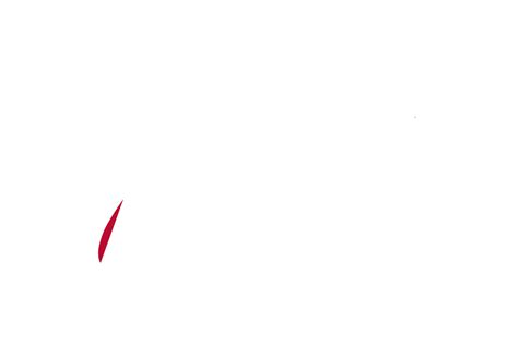 Hot Springs Integrity Insurance Group