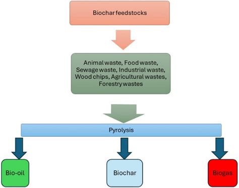 Green Synthesis And Application Of Biochar Derived From Alien Vegetation Wood For Proton