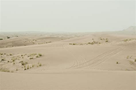 갈색 건조한 격리 경치 경치 좋은 전망 경치가 좋은 고요한 고요함 광야 광활한 따뜻한 음색 맑은 하늘