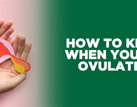 How To Read A Sperm Analysis Report