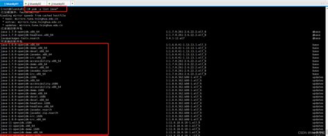 集群04之jdk，zookeeper安装zk用openjdk Csdn博客
