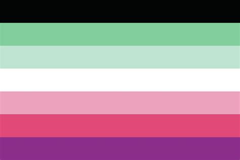 Abroromantic Asexual Flag Version 1 One Design Flag Asexual
