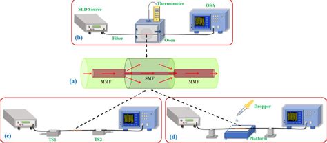 Schematic A Of The Msm Structure And For Bd Temperature Strain