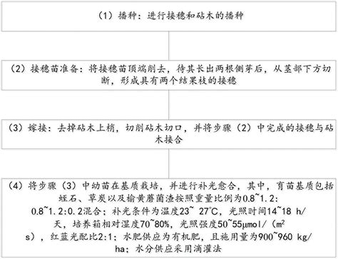 番茄苗嫁接方法与流程