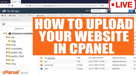 🔴live How To Upload Your Website In Cpanel Youtube