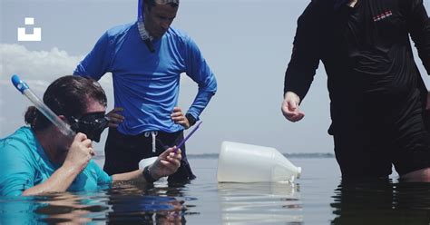 파란색 긴 소매 셔츠와 검은 색 바지를 입은 남자가 흑백 줄무늬의 소녀를 들고 있다 사진 Unsplash의 무료 탬파베이 이미지