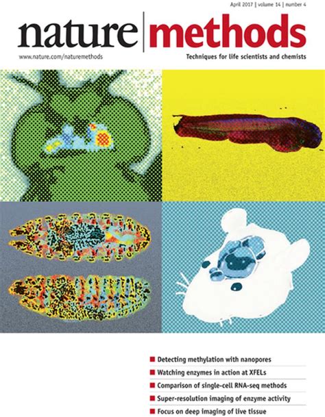 Visualization And Analysis Of Single Cell Rna Seq Data By Kernel Based Similarity Learning Pmcc Ai