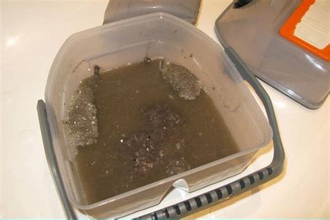 Пеногаситель для пылесоса: назначение, виды, как использовать + обзор ...