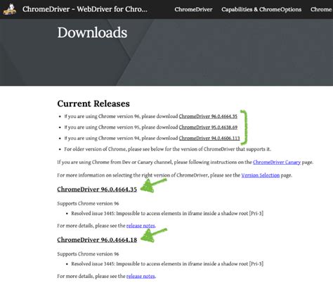 Selenium Chromedriver And How To Do Selenium Tests On Chrome