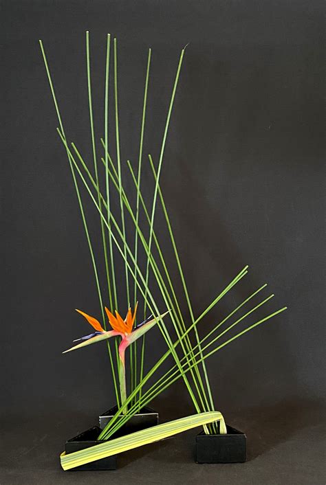 Flower Designs Discover 200 Angular Flower Designs Ideas On This