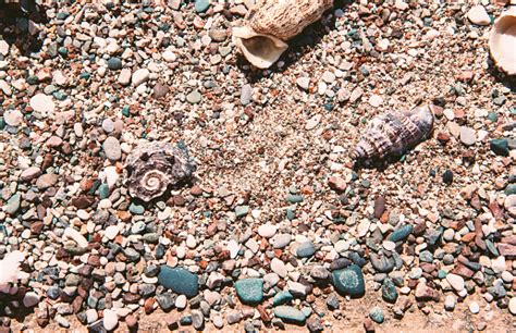 해변 여름 배경바다 자갈에 조개와 바다 별과 처마 텍스트에 대 한 공간을 복사 껍데기에 대한 스톡 사진 및 기타 이미지
