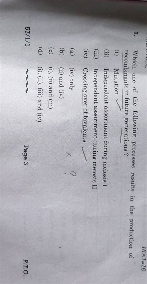16 times 1 16 1 which one of the following processes results in the pro