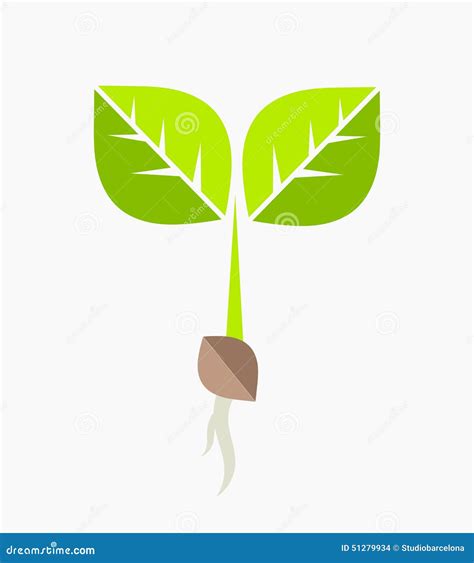 Plant Seedling Stock Vector Illustration Of Emblem 51279934