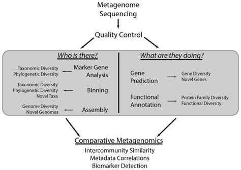 Common Metagenomic Analytical Strategies This Methodological Workflow